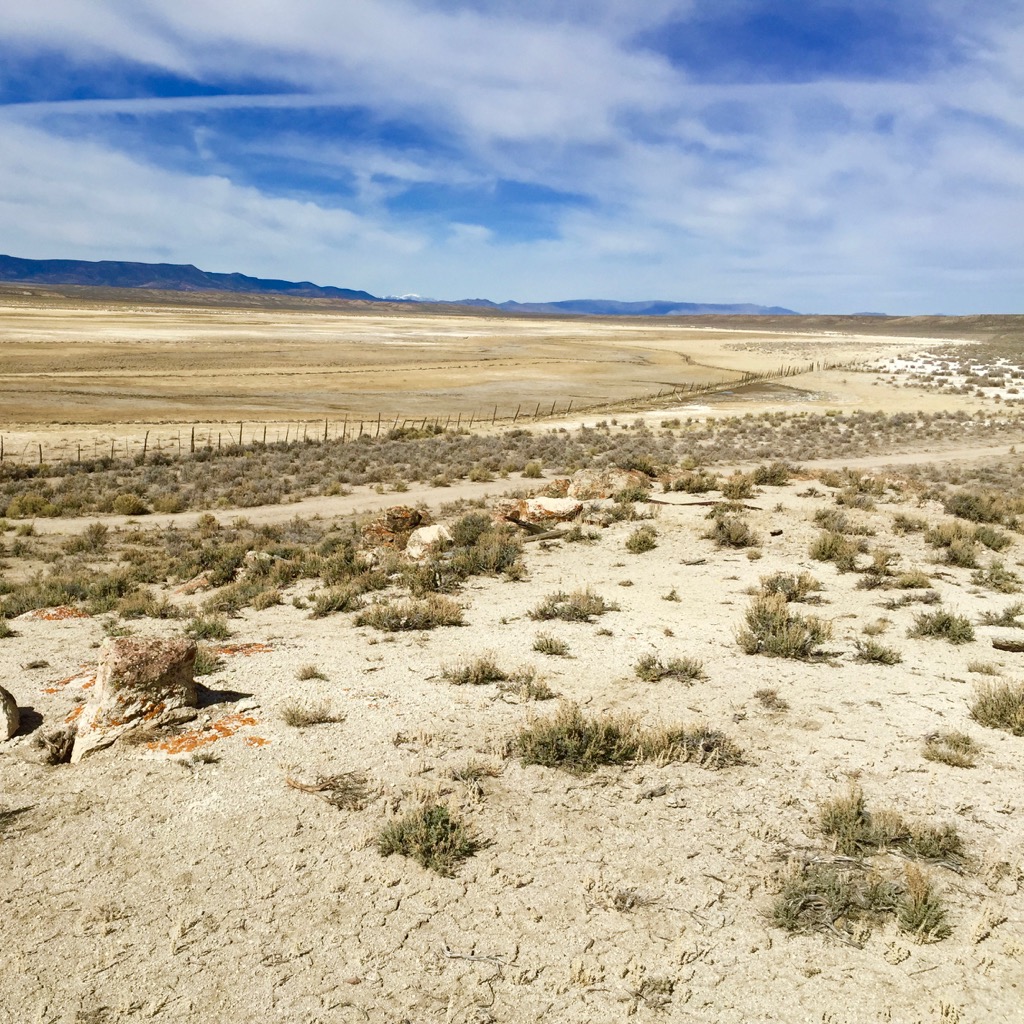 Home - Haystack Mountain